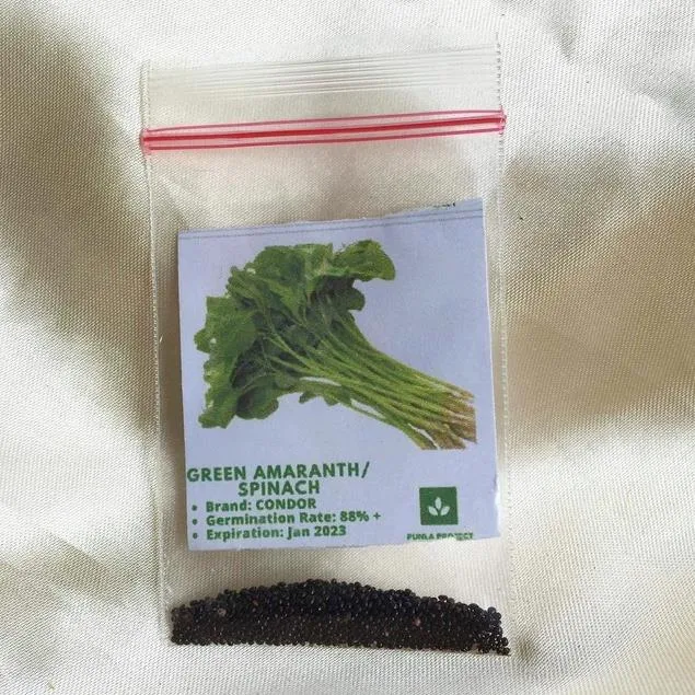 Spinach Green Amaranth Condor (500seeds) leafy vegetables | Lazada PH
