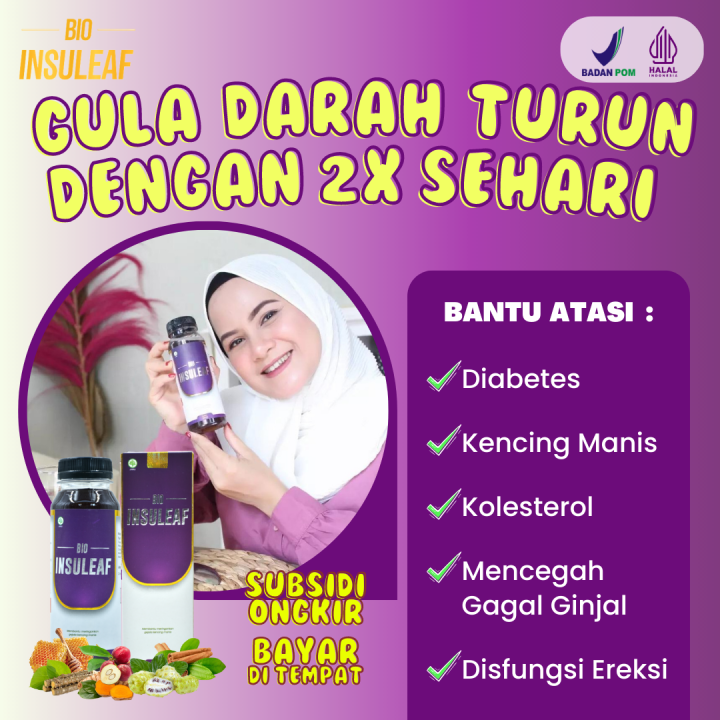BIO INSULEAF 100% Insulin Herbal Solusi Tepat Turunkan Gula Darah ...