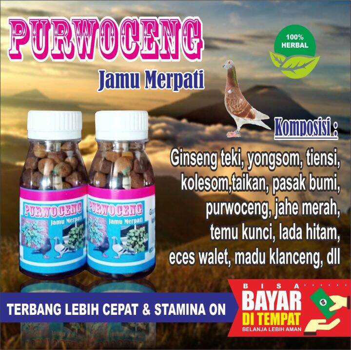 JAMU MERPATI PURWOCENG ISI 100 BUTIR DOPING MERPATI PILEDAN VETAFRAM ...