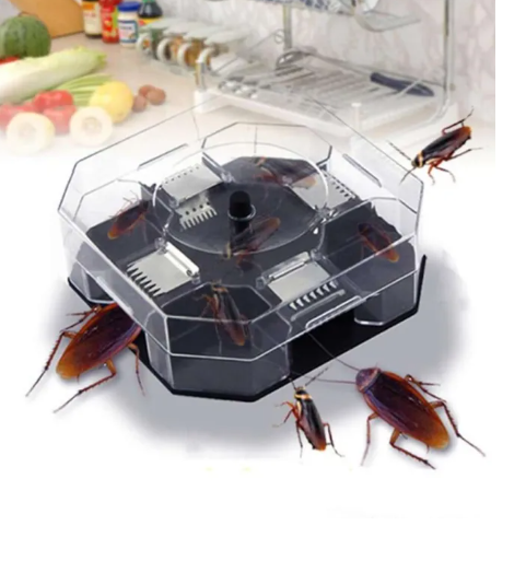 XIEJINSHUI 1 Anti Cockroaches Trap Killer | Lazada PH