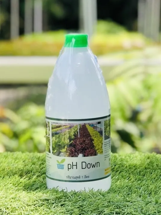 pH Down 1ลิตร | Lazada.co.th