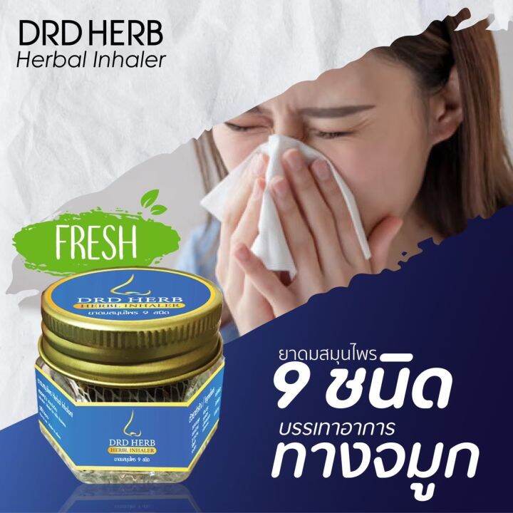 แพ๊ค 3 กระปุก ยาดมสมุนไพร 9 ชนิด DRD HERB | Lazada.co.th