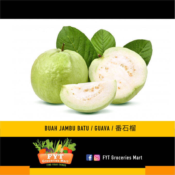 FYT GROCERIES - FRUIT - BUAH JAMBU BATU LOHAN / GUAVA LOHAN/ 芭樂 番石榴 ...