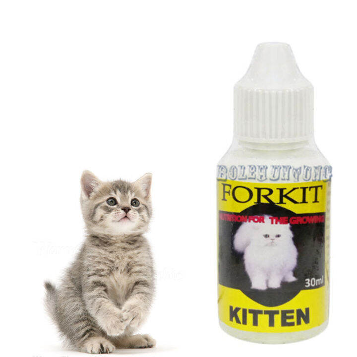 VITAMIN KUCING KECIL PENAMBAH NAFSU MAKAN KITTEN FORKIT | Lazada Indonesia