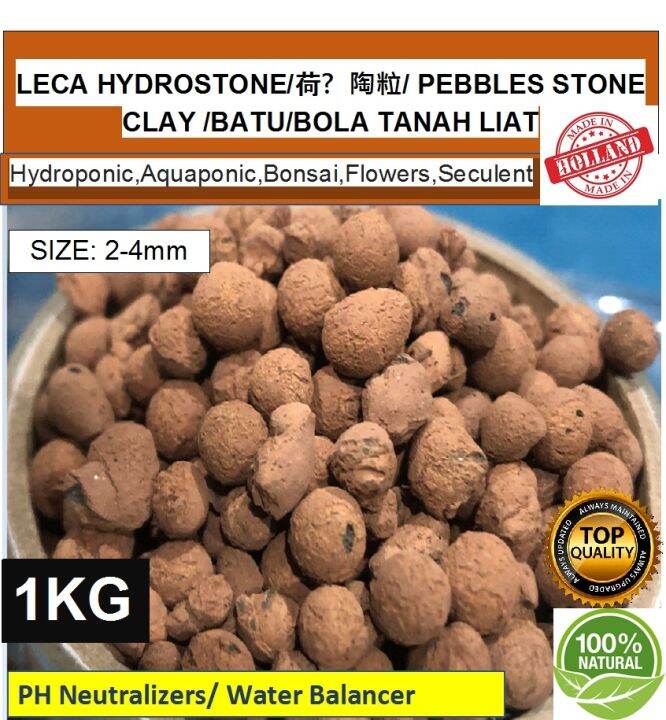 [REPACK 1KG](2-4mm)LECA HYDROSTONE/荷兰陶粒/ PEBBLES STONE CLAY /BATU/BOLA ...