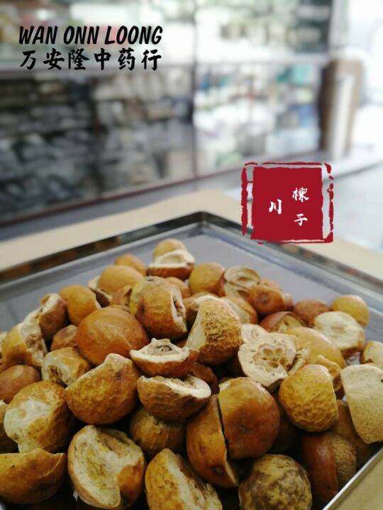 万安隆川楝子/金铃子 Wan Onn Loong Chuan Lian Zi /Fructus Toosendan | Lazada