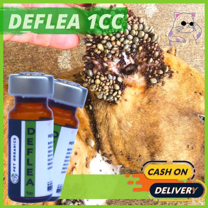 [CATCUTIE ] DEFLEA 1CC Anti-Tick and Flea Spot On Mites for Pet Dogs ...