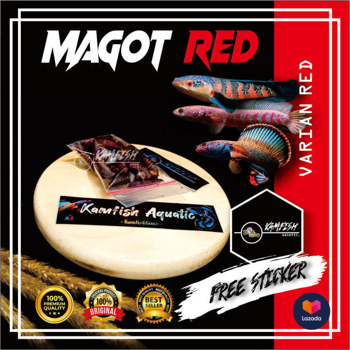 REPACK PAKAN IKAN CHANA RED SENTARUM/MAGOT BSF RED PIGMENT | Lazada ...