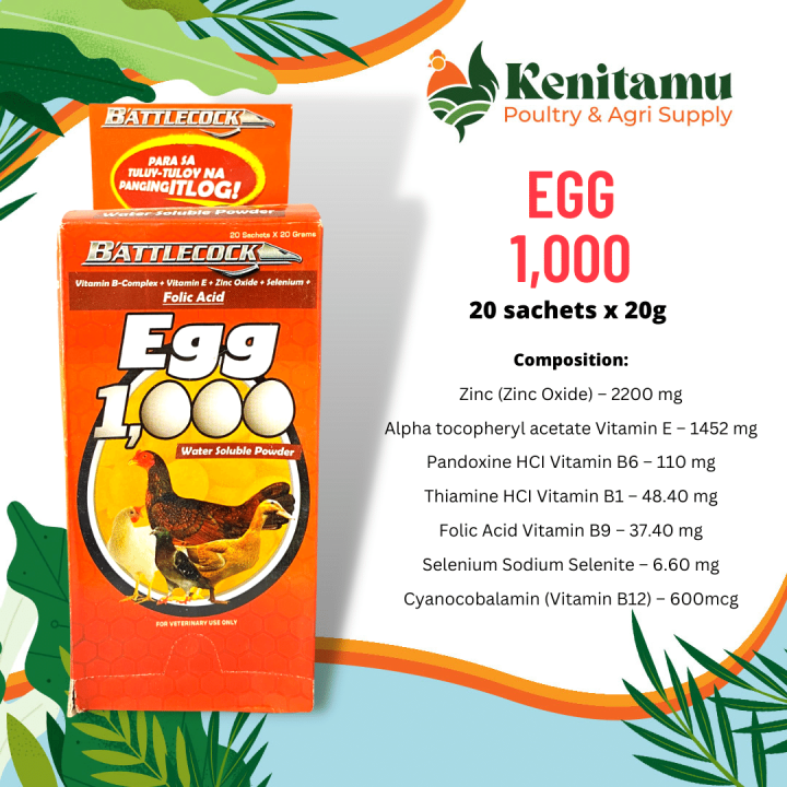 EGG 1,000 20 sachets x 20g | Lazada PH