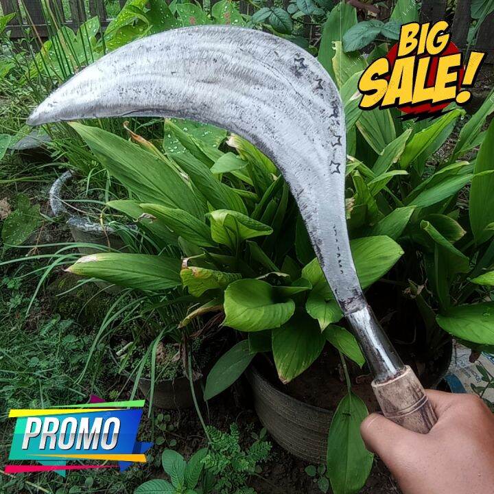 Sabit pengaritan rumput dan padi baja asli super tajam dan berkualitas ...