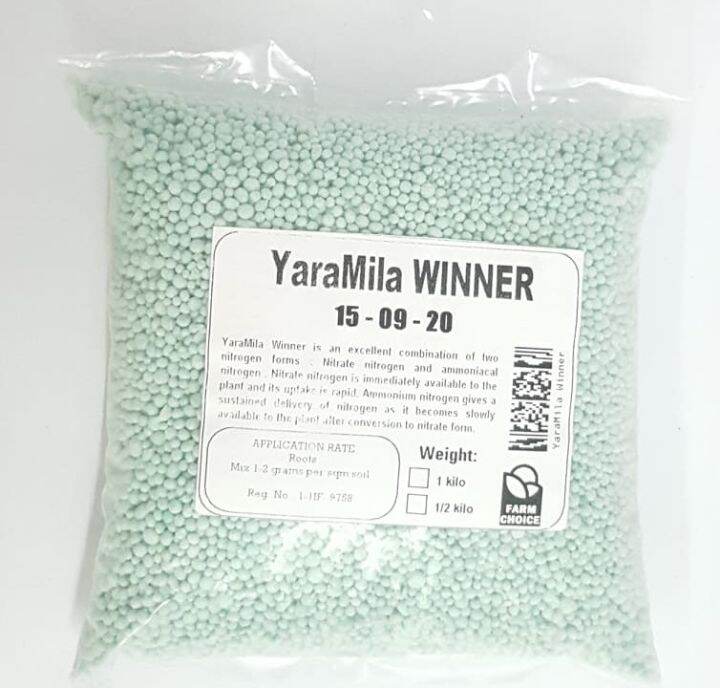 YARAMILA WINNER 15 - 09 - 20 (1kg) | Lazada PH