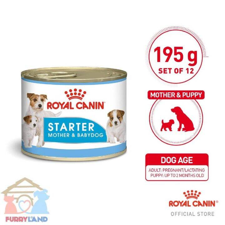 Royal Canin Starter Mousse 195g | Lazada PH