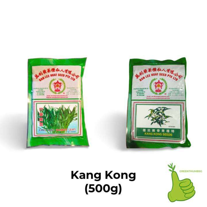 Ban Lee Huat Kang Kong 500 grams ~ 10000 seeds | Lazada Singapore