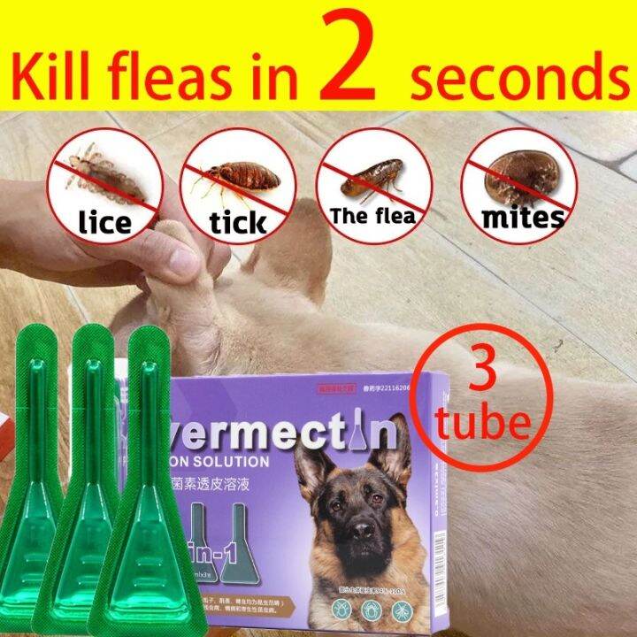 pet shop storehuanqncdw010 FRONTLINE Plus Flea Tick Treatment for Dogs ...