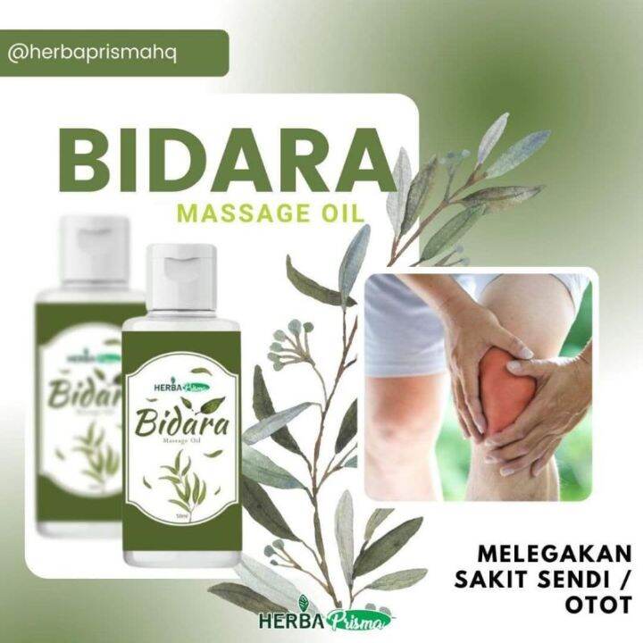 Herba Prisma Minyak Bidara Kayu Putih Minyak Urut Mage Oil | Lazada