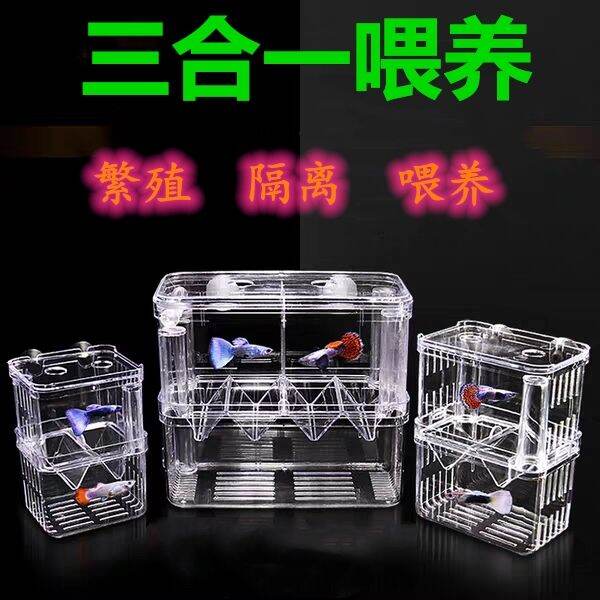 Fish tank isolation box guppies incubation box small fish feeding ...