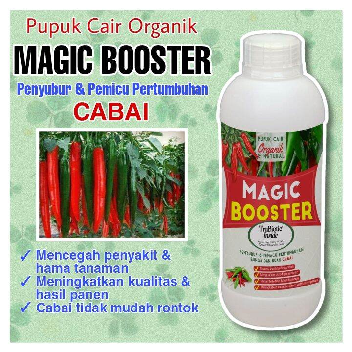 MAGIC BOOSTER CABAI Pupuk Cair Organik Khusus Tanaman Cabai, Meningkatkan Bobot Buah | Lazada ...