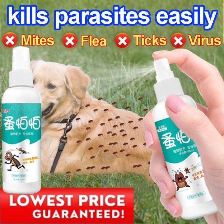 100MLTick and Flea Spray Mite Remover for Dog and Cat Anti Garapata ...