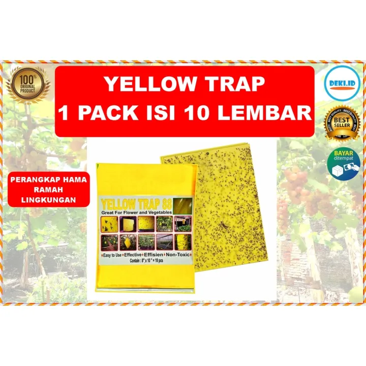 Yellow Trap Perangkap Hama Lem Perekat Lalat Buah Likat Kuning Serangga ...