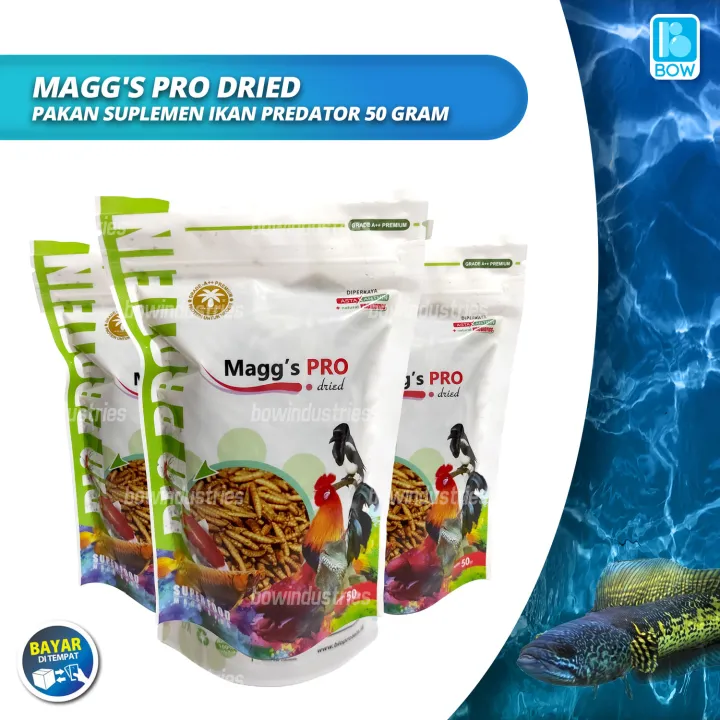 Maggot BSF Kering Magg's Pro 50gr Pakan Suplemen Ikan Predator Channa ...