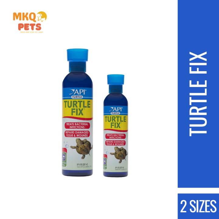 API Turtle Fix | Lazada PH