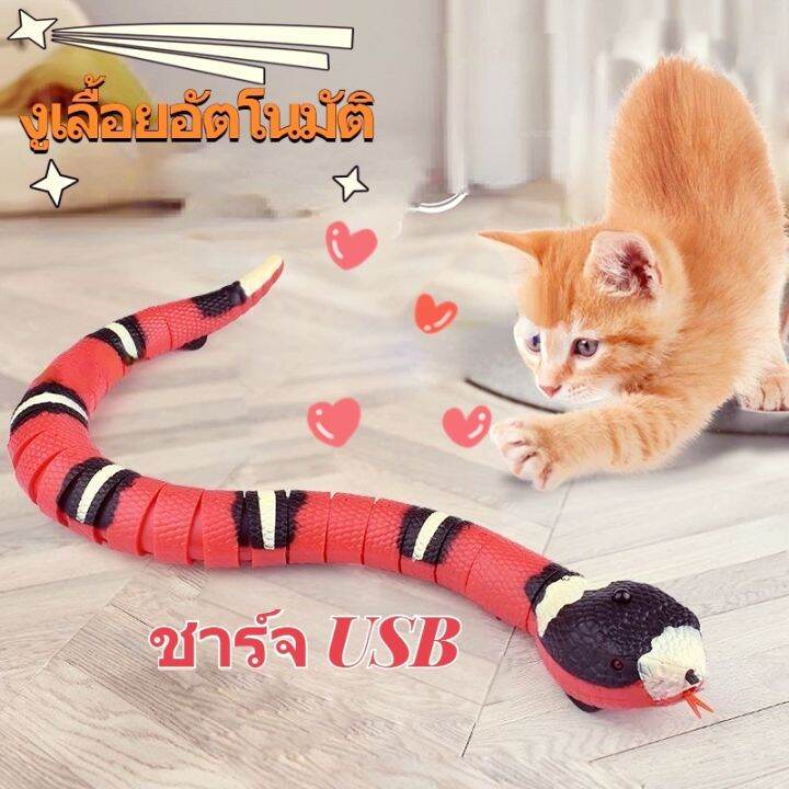 【Dargly】พร้อมส่งUSB ของเล่นแมว งูเลื้อยอัตโนมัติ งูปลอม ของเล่นอิเล็กทรอนิกส์ งูล่อแมว | Lazada ...