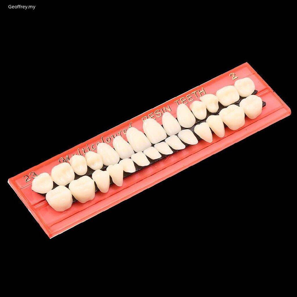 Be Acrylic Resin Denture Teeth Upper Lower Shade Dentures Dental ...