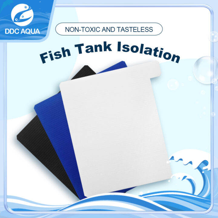 【DDC AQUA】 BETTA TANK DIVIDER for 4x6x8 cm | Lazada PH