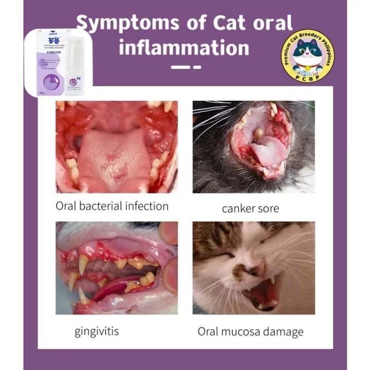 KALO Oral Spray for cats and dogs dental care oral ulcer gingivitis bad ...