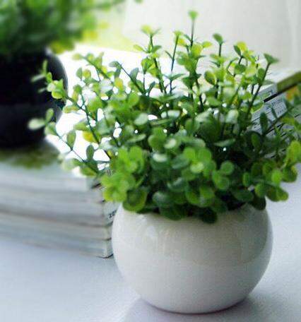 Naindo Bunga Rumput vas keramik cantik hiasan ruang tamu dan kantor ...