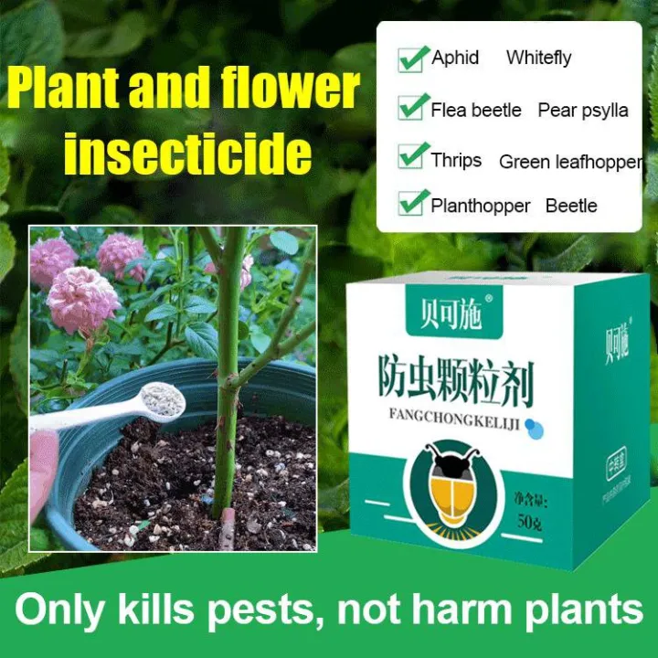【Significant Effect】House Plant and Flower Insecticide Plant general ...