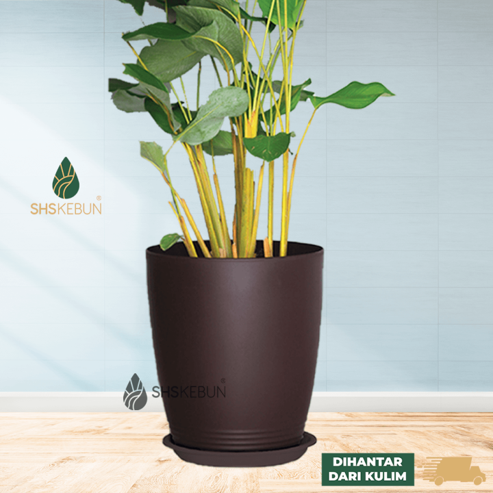 Pasu Bunga Besar Baba EP-380 (FUJI) Biodegradable Flower Pot Plant Pot ...