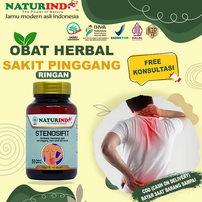 Obat herbal Sakit Pinggang syaraf saraf kejepit terjepit Obat nyeri ...