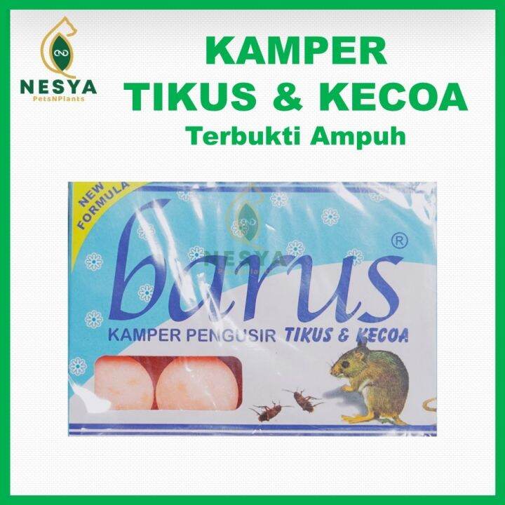 Kamper Barus Pengusir Tikus dan Kecoa Ampuh Original | Lazada Indonesia