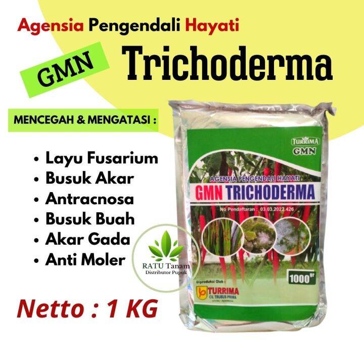 Pupuk Tricoderma Fungisida Trichoderma Untuk Buah Dan Sayuran Anti ...
