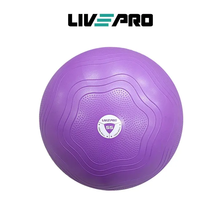 Livepro 55cm Gym Ball | Lazada PH