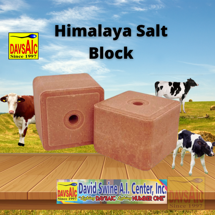 Himalaya pink salt block for cow cattle animal farm husbandry salt ...