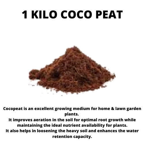 ORGANIC AND NATURAL COCO PEAT / DUST / COCO COIR FOR GARDENING AND ...