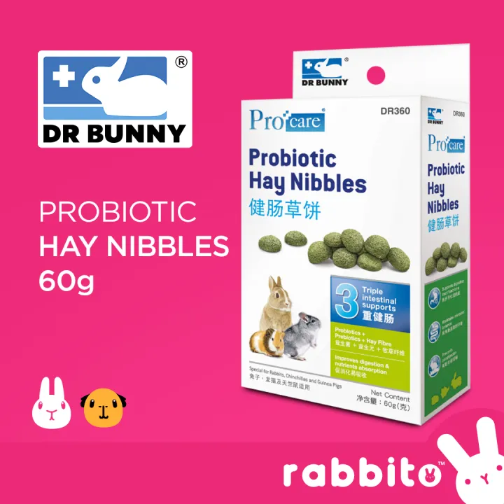 Dr. Bunny Procare Probiotic Hay Nibbles 60g treats for rabbits, guinea ...