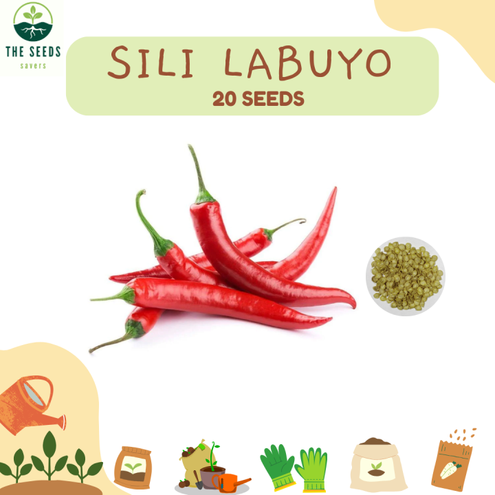 SILI LABUYO/HOT PEPPER-20seeds | Lazada PH