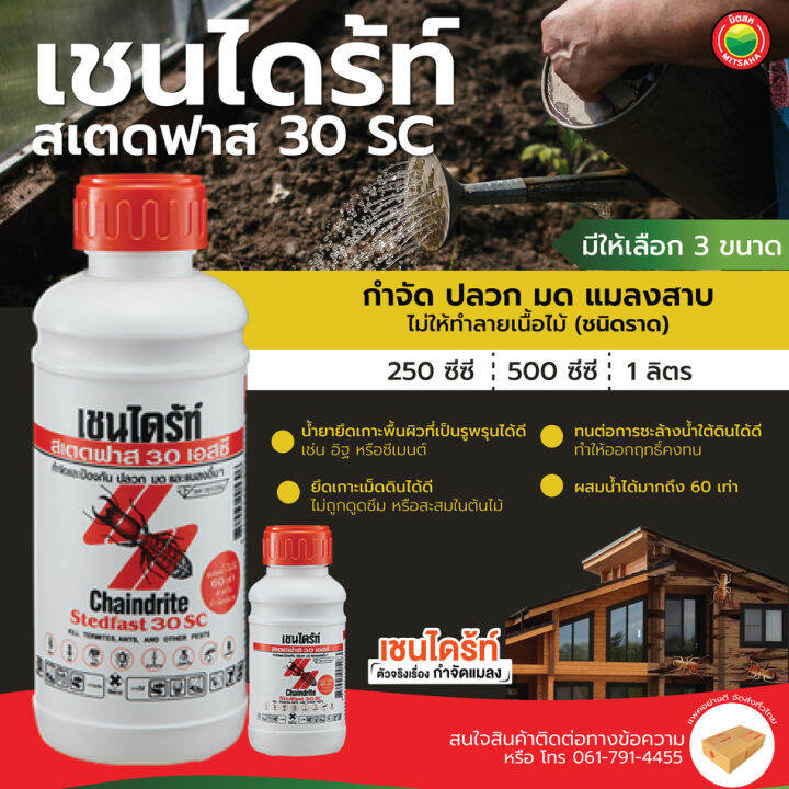 เชนไดร้ท์ สเตดฟาส 30เอสซี ขนดาด 250มล, 500มล, 1ลิตร TERMITE KILLER ...