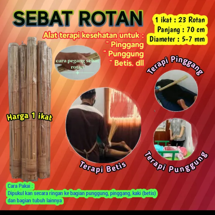 Sapu Rotan Terapi - Alat Terapi Kesehatan Manual Sebat Rotan Untuk ...
