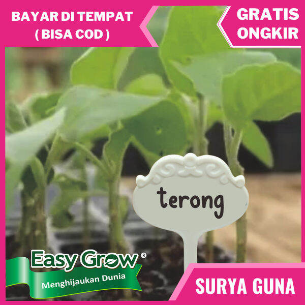 Label nama tanaman Label tancap easy grow 1 pack | Lazada Indonesia