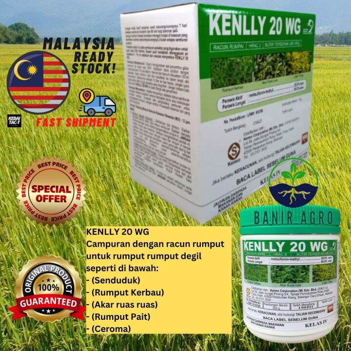 Kenlly 20WG Racun Rumput (Sama Dengan Ally) Anak Kayu/Anak Pokok ...