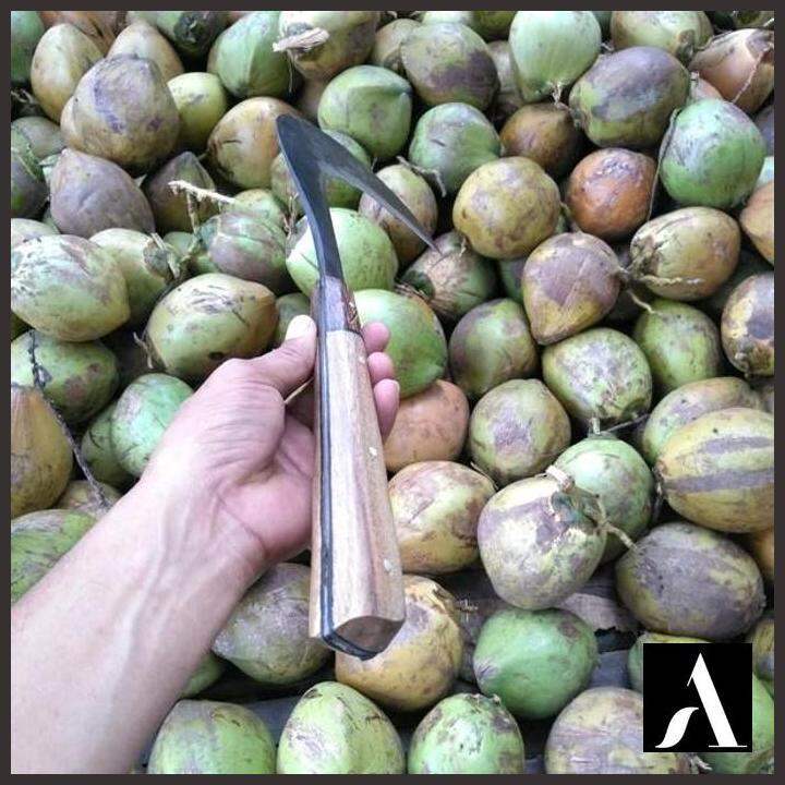 ARIT TEMBUS ARIT BAJA ARIT RUMPUT - PISAU SABIT | Lazada Indonesia