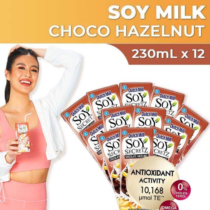 Dutch Mill Soy Secretz Soy Milk Choco Hazelnut 230ml x 12 | Lazada PH