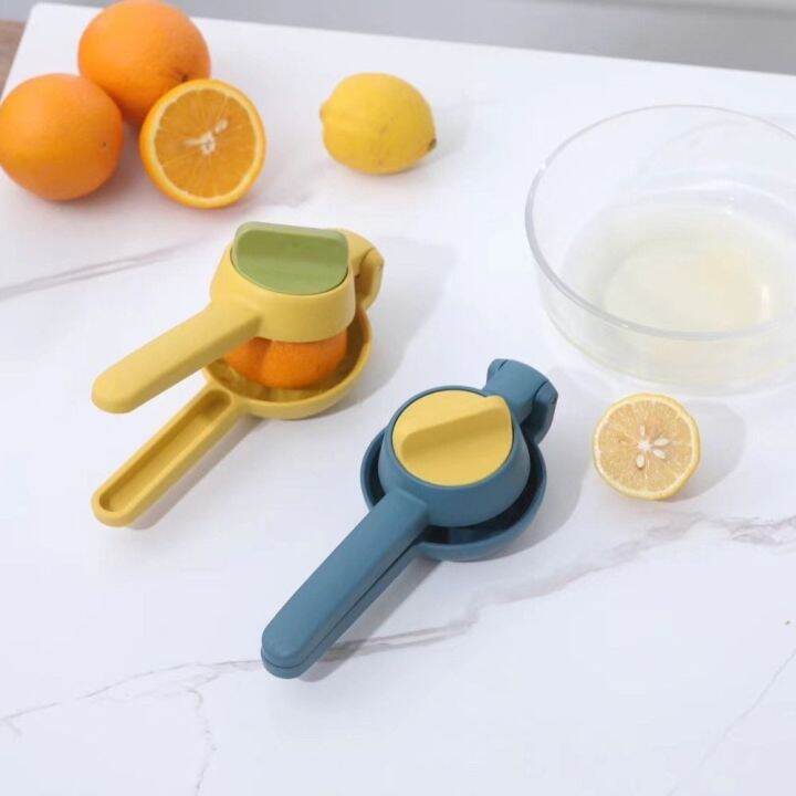 NILE Small Portable Watermelon Lemon Plastic Blender Juicer Garlic ...