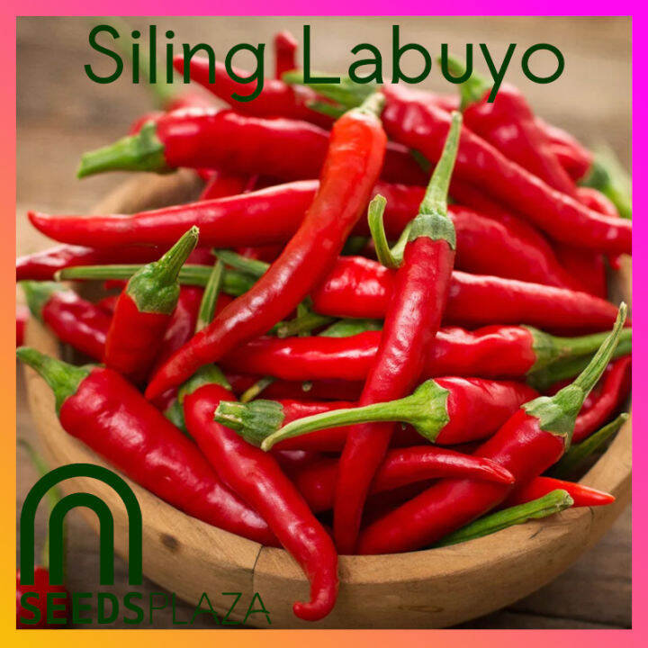 SeedsPLAZA - Siling Labuyo (50 Seeds) for Planting Vegetable Plants ...