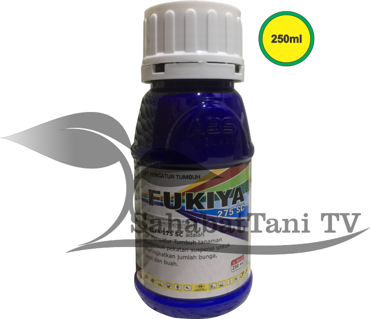 FUKIYA Zat Pengatur Tumbuh tanaman (ZPT) - 250 ml | Lazada Indonesia