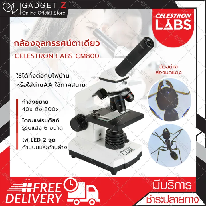 【ส่งฟรี】 กล้องจุลทรรศน์ตาเดียว 800X Celestron Labs CM800 Microscope ส่องสเปิร์ม และน้ำเชื้อได้ ...